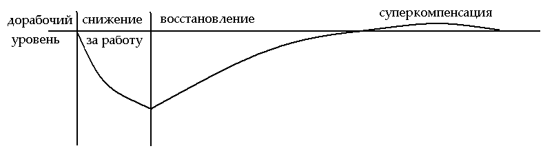 13.3. Явление суперкомпенсации
