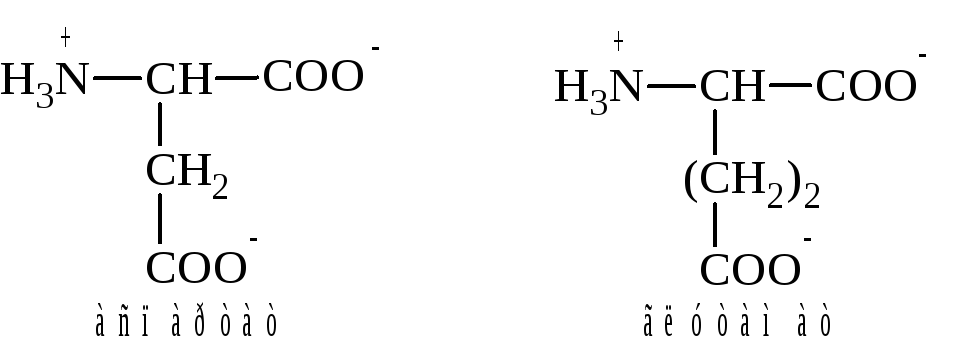 1. Аминокислоты с неполярными (гидрофобными) радикалами.