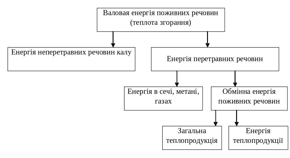 3.1.3. Оцінка загальної поживності кормів