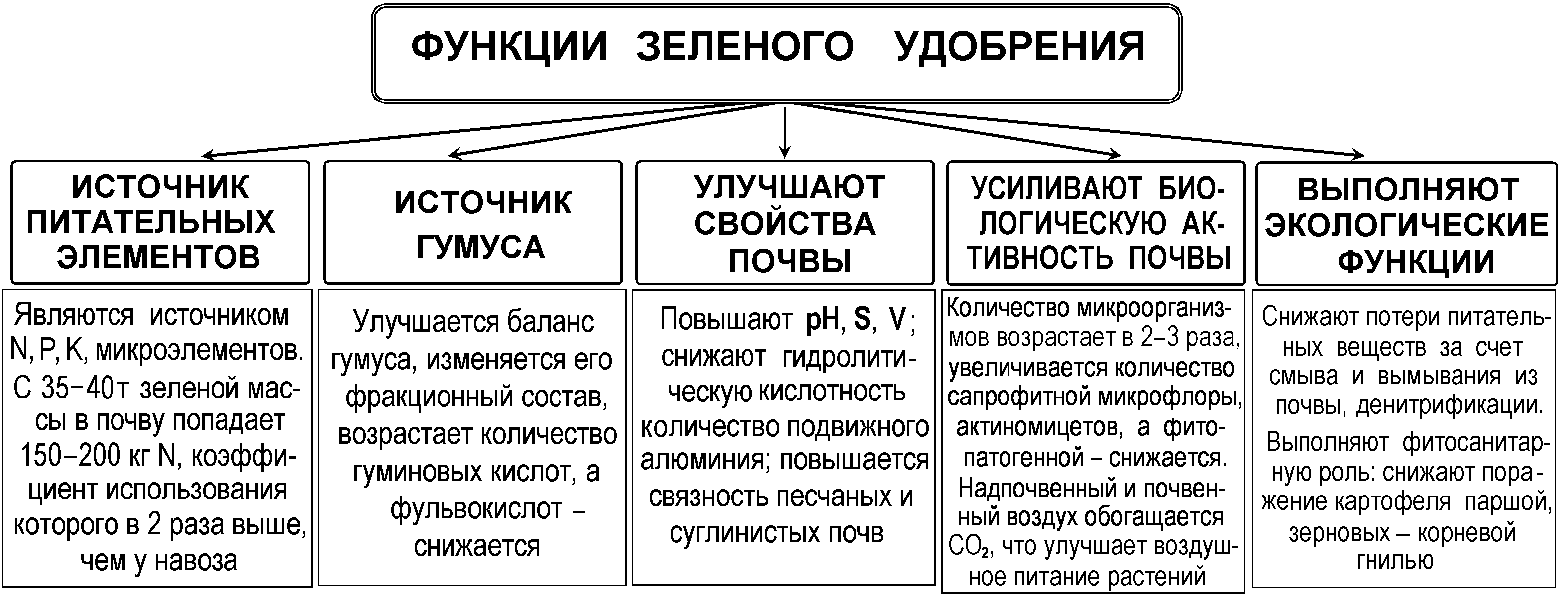 15. Зеленое удобрение (сидераты), их эффективность и агроэкологическое ...