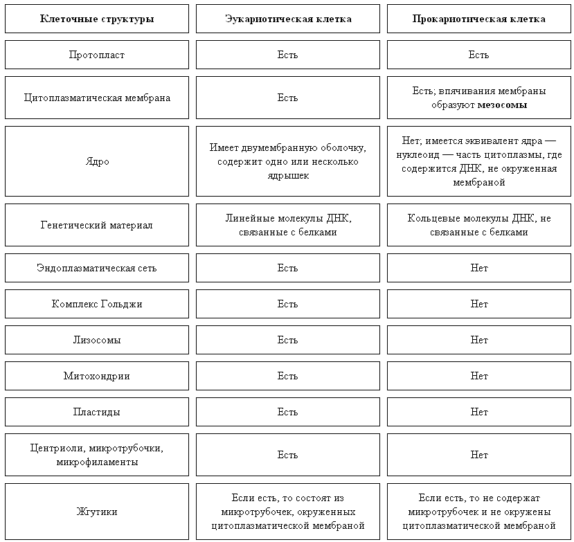 Химический состав клетки. Строение, свойства, значение днк.