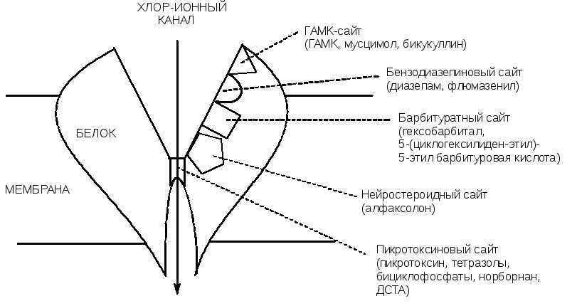 4.1.1.2.1.1. Антагонисты гамк
