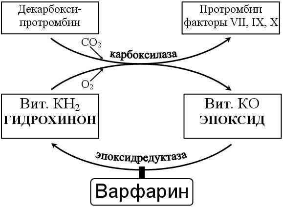 Механизм действия непрямых антикоагулянтов