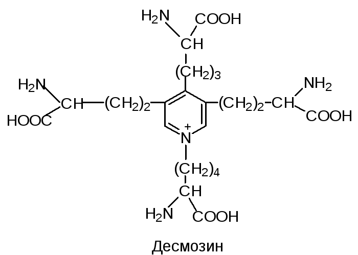 3. Аминокислотный состав белков