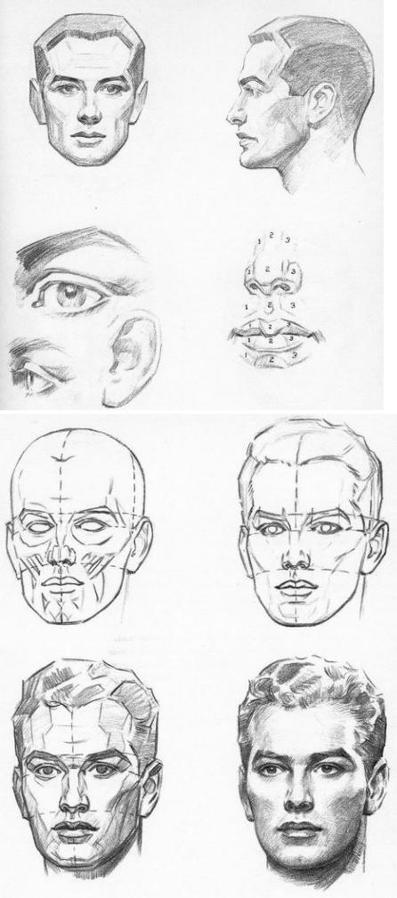 [Обучение][Живопись] Эндрю Лумис - Рисование голов и рук - Стр 5