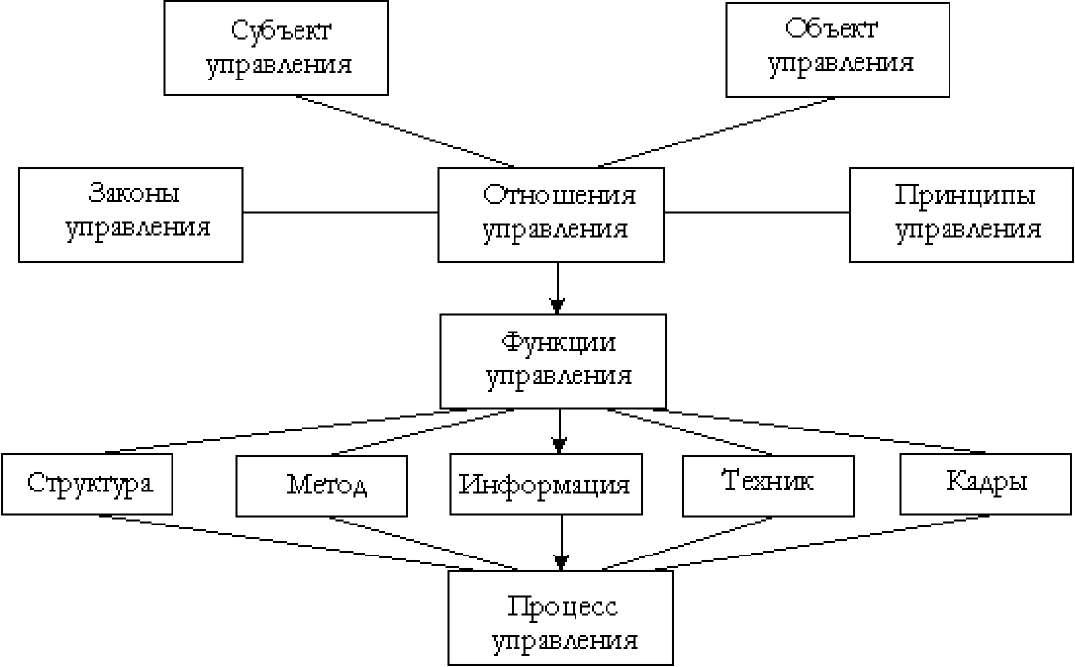 1.4 Виды менеджмента