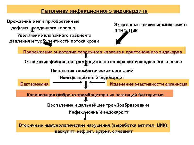2. Септицемия и септикопиемия