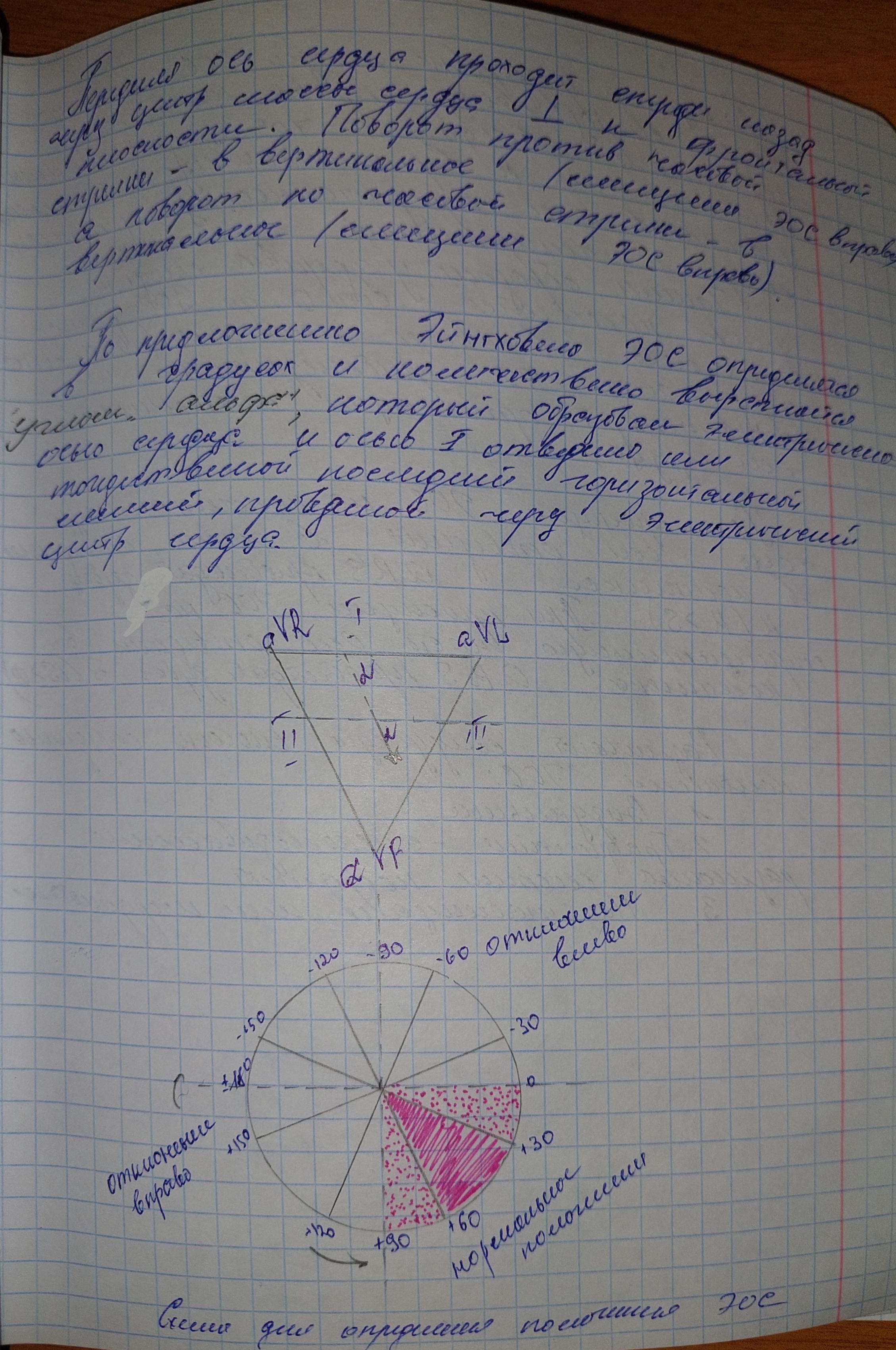Науменко Валерия 6Б ПФ 3