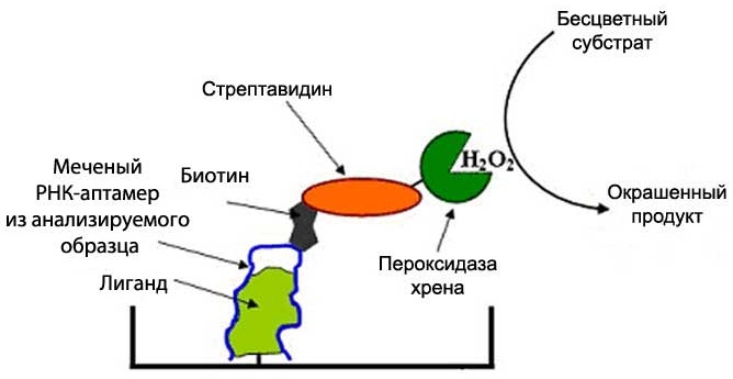 Преимущества методов биоиндикации и биотестирования