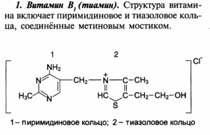 5. Витамин к (к1, к2), их химическая природа. Роль витамина к в ...